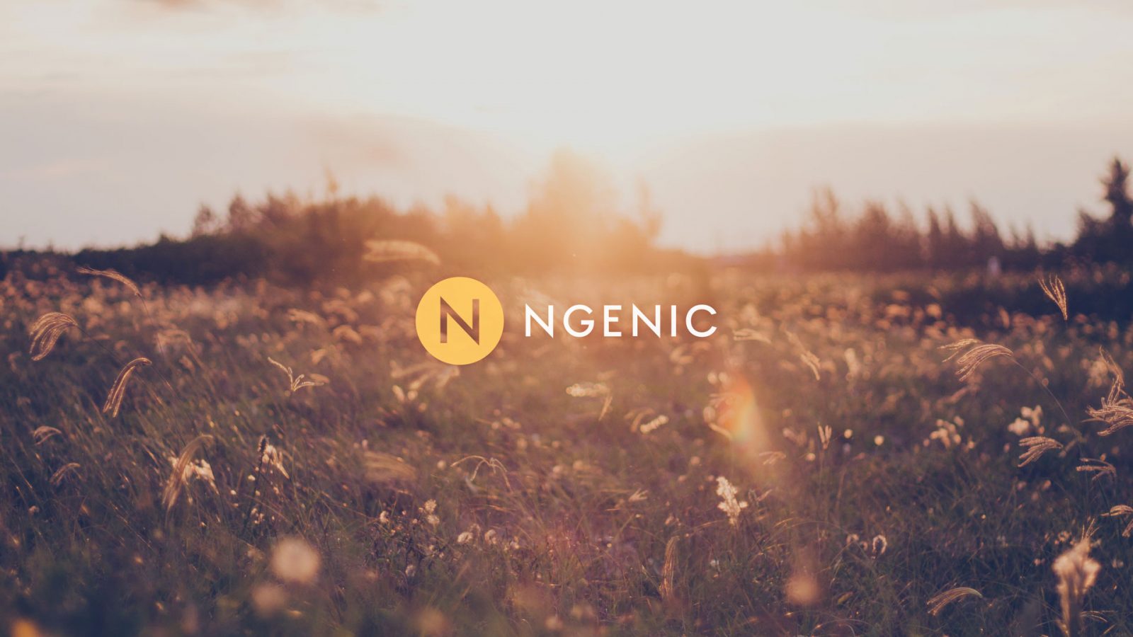 Ngenic - Lampa, Hellberg & Partners